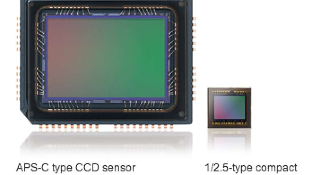 Fototipps: Sensorformat: Fläche wichtiger als Pixel | NETZWELT