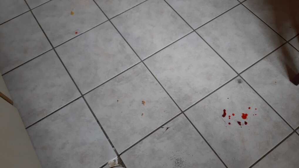 Eufy Omni S1 Pro im Test: Weltneuheit "Moppsi" geht gewissenhaft auf ...