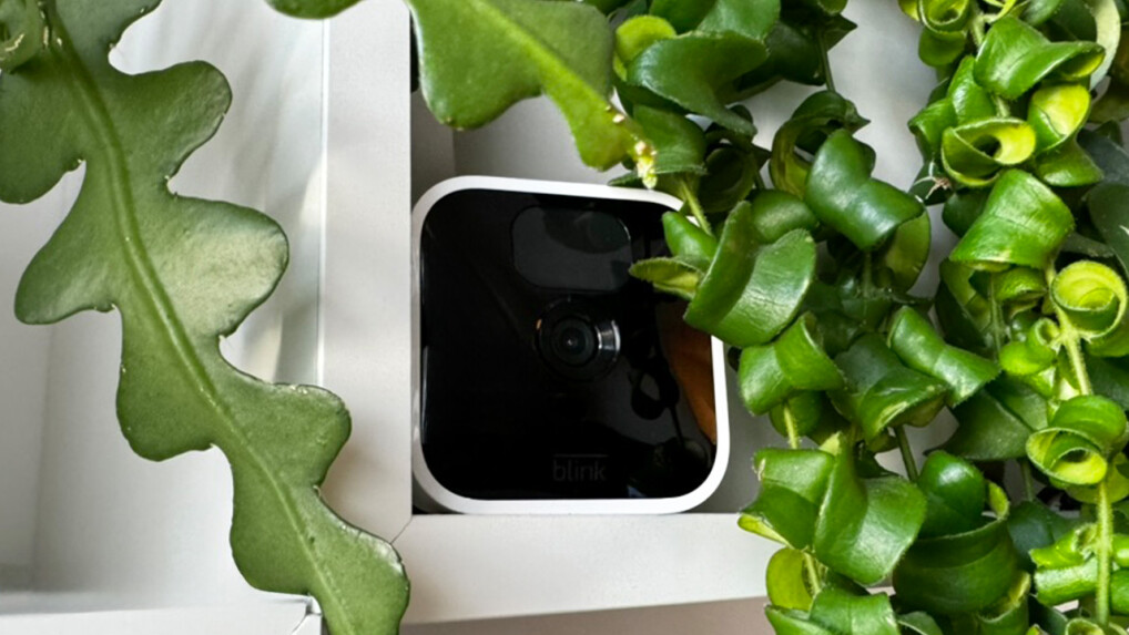 Blink Indoor im Test: Kompakte Wireless-Kamera mit Kosten-Falle | NETZWELT