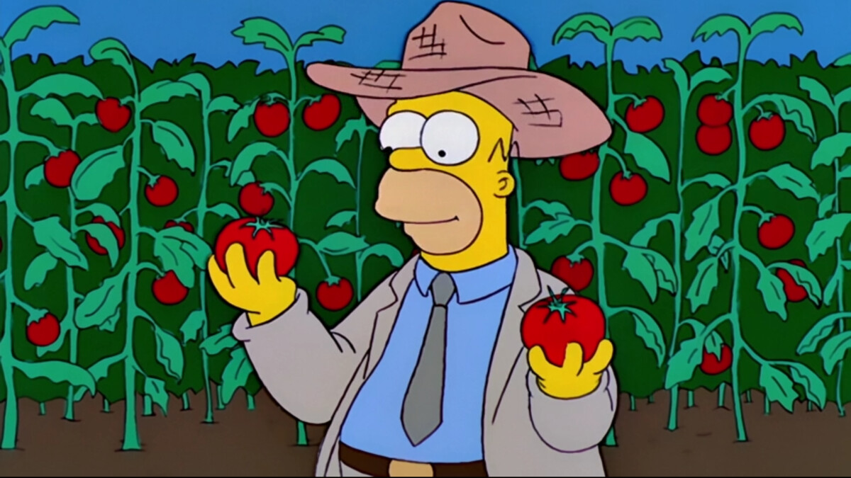 Die Simpsons: Staffeln und Episodenguide: Erfrischend süchtig machend ...