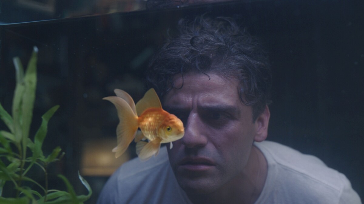 MCU absurd: Das passiert alles in "Moon Knight", während Marc Spector ...