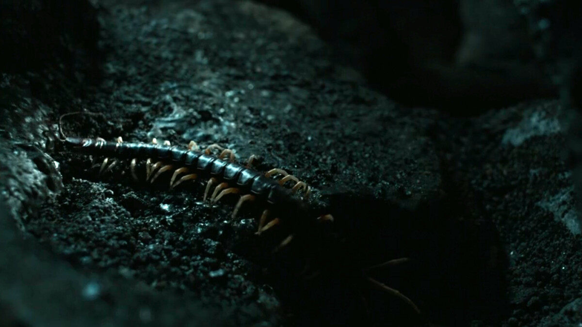 Die Ringe der Macht: Alle versteckten Easter Eggs, Film-Referenzen und ...