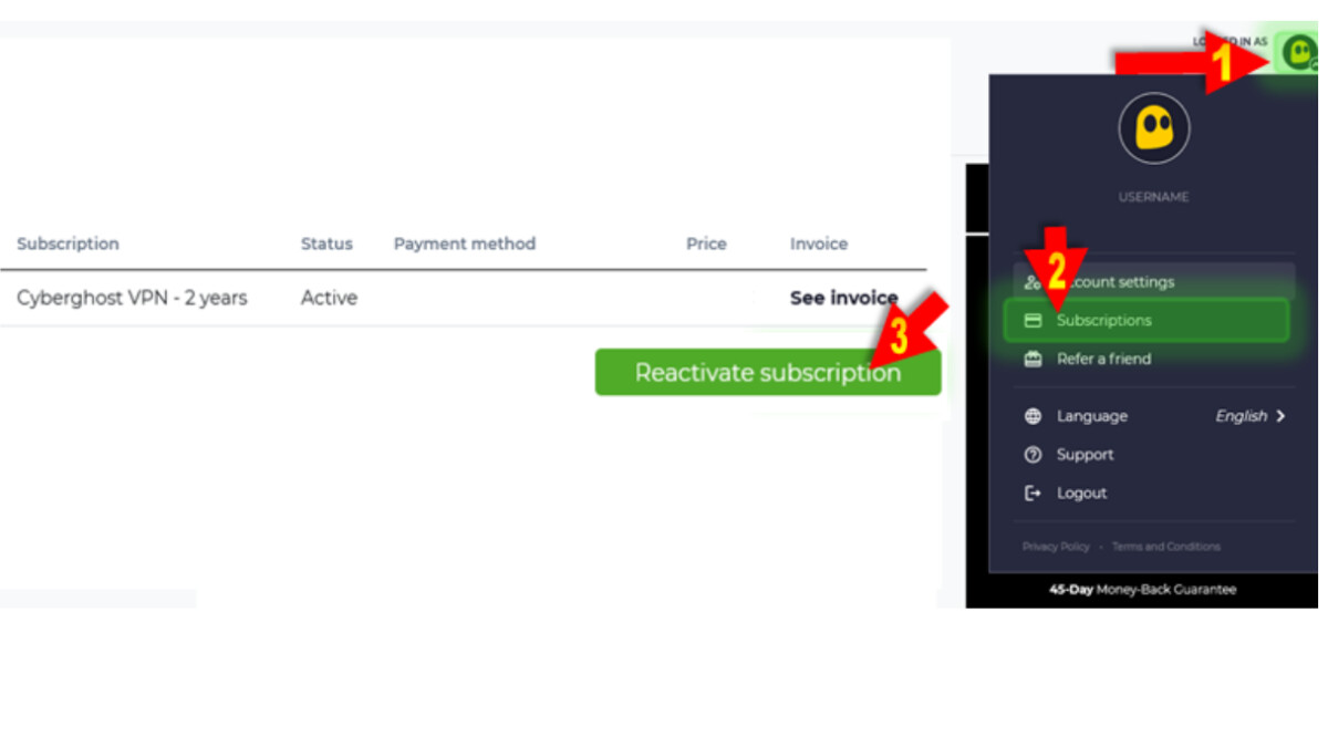 CyberGhost VPN kündigen: So beendet ihr euren Vertrag beim VPN-Dienst ...