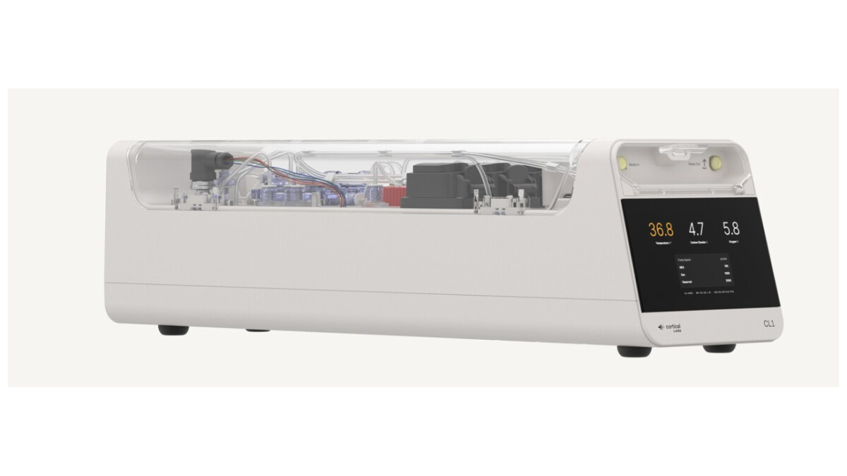 Computer mit Menschen-Gehirn: CL1 stellt KI in den Schatten | NETZWELT