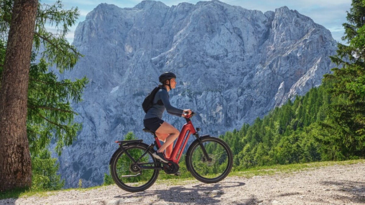 E Bike Stärkster Motor