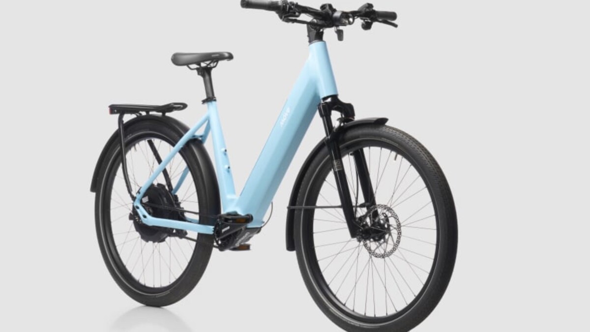 Möve Bikes Voyager V10: E-Bike mit Heckmotor und Pinion-Getriebe | NETZWELT
