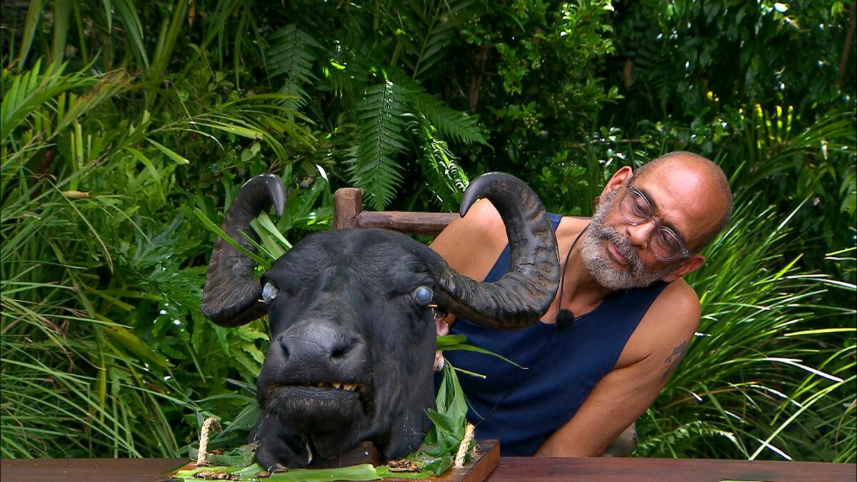 IBES 2025: Dschungelcamp-Finale an Tag 17- Wer hat gewonnen? | NETZWELT