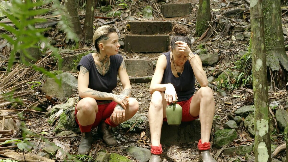IBES 2025: Das war Tag 12 im RTL-Dschungelcamp - Er ist raus! | NETZWELT