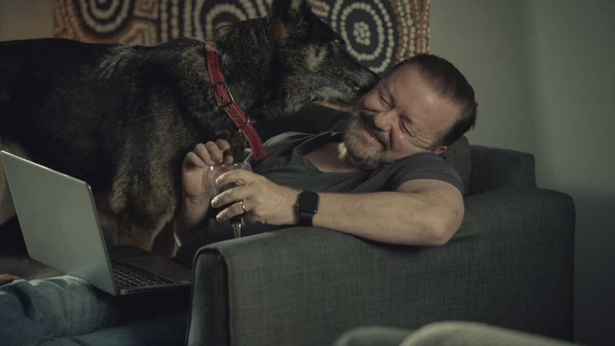 After Life | Staffeln & Episodenguide | NETZWELT