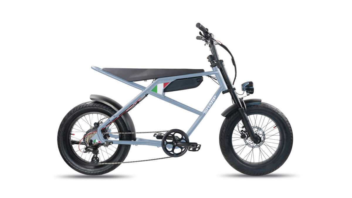 Sharp bringt entspannten Cruiser: Mischung aus E-Bike und E-Moped ...