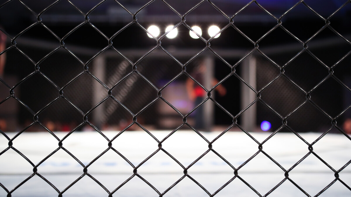 Ankalaev vs. Pereira live im Stream: So empfangt ihr UFC 320 auf Fire ...