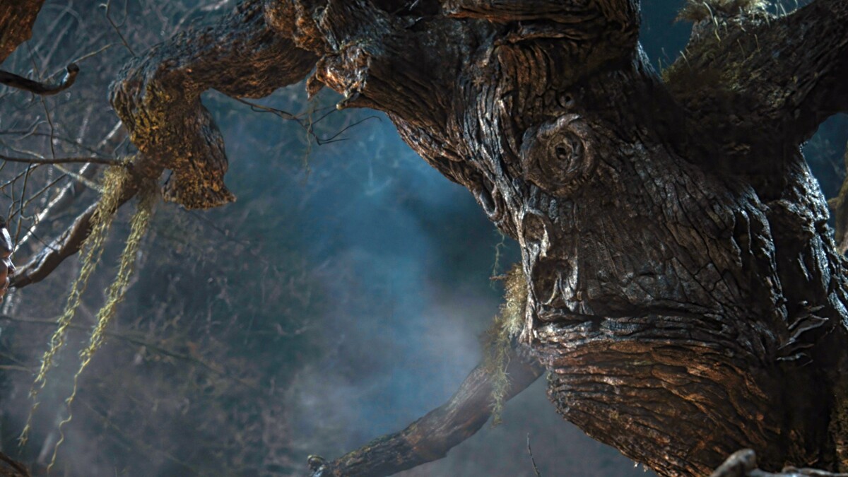 Der Herr der Ringe - Die Ringe der Macht: Habt ihr diesen "Harry Potter ...