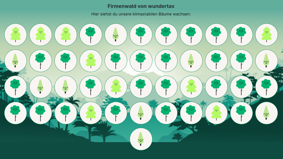 Wundertax im Test 2024: Zielgruppengerechte Steuererklärung - schnell ...