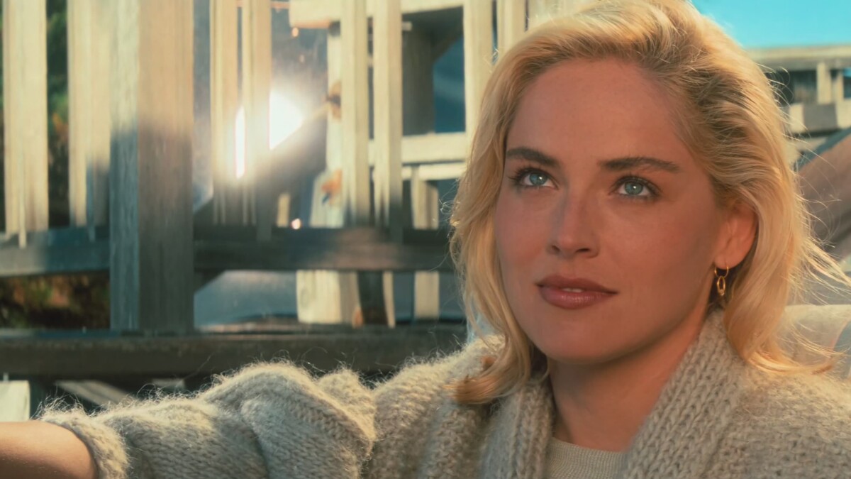 Sharon Stone Films Sharon Stone Wants 2024 To Be Her Year Of Love