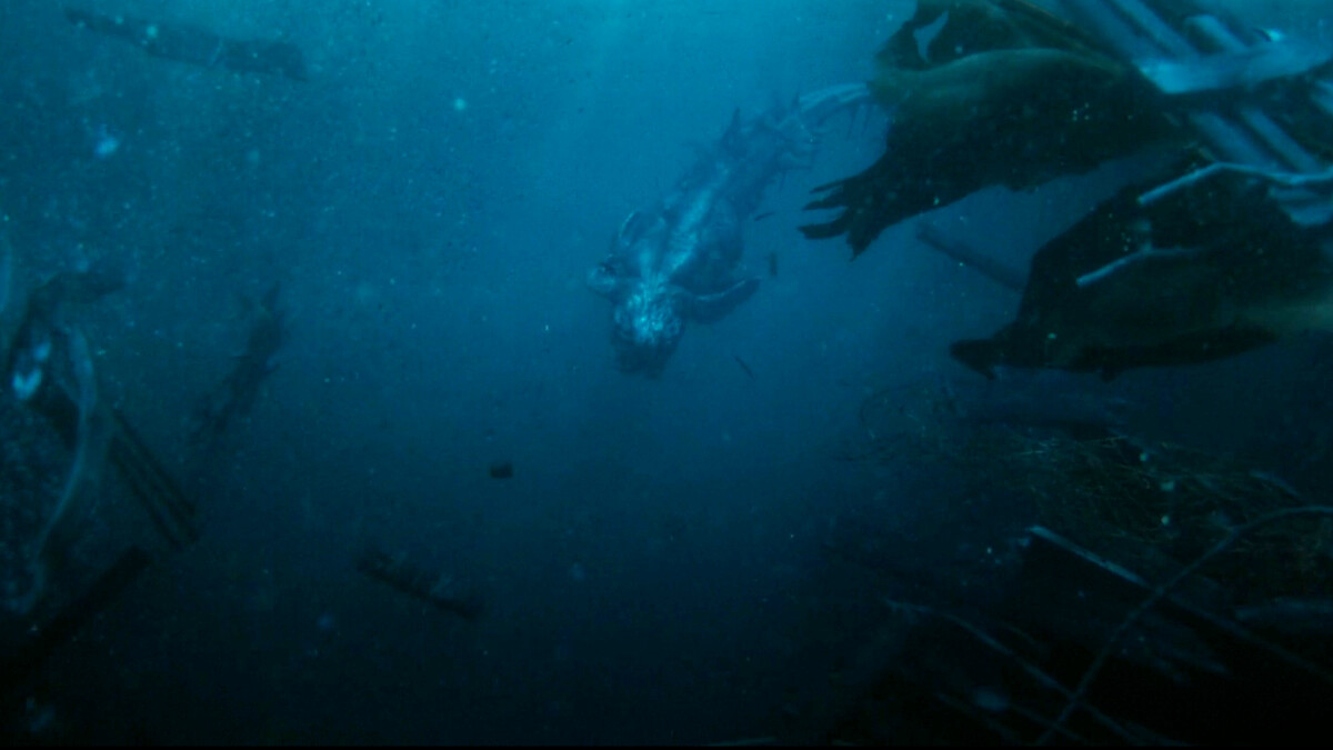 Der Herr der Ringe - Die Ringe der Macht Staffel 2: Ist der Seewurm das ...