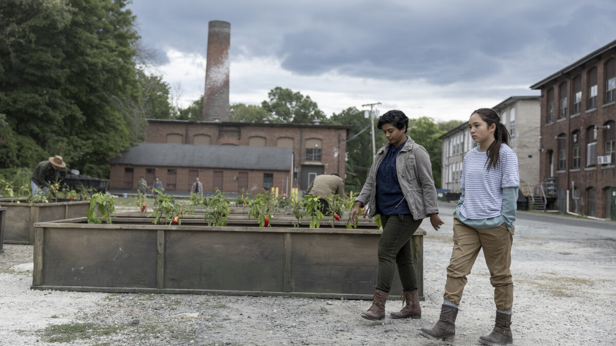 The Walking Dead - Dead City: Hilltop zieht um - so steht es im TWD ...