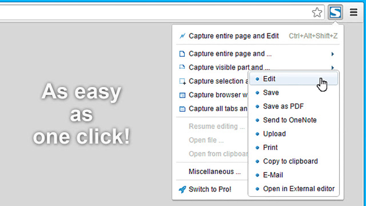 FireShot - Download | NETZWELT