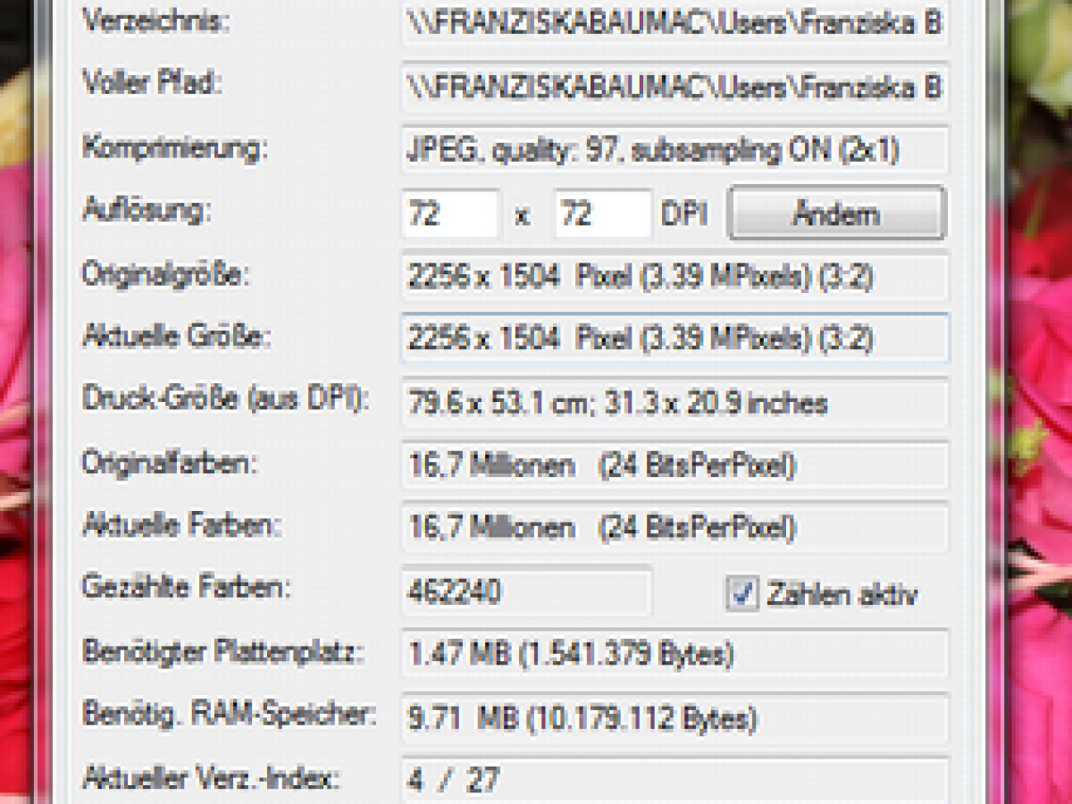 IrfanView: Das kann die kostenlose Fotosoftware | NETZWELT