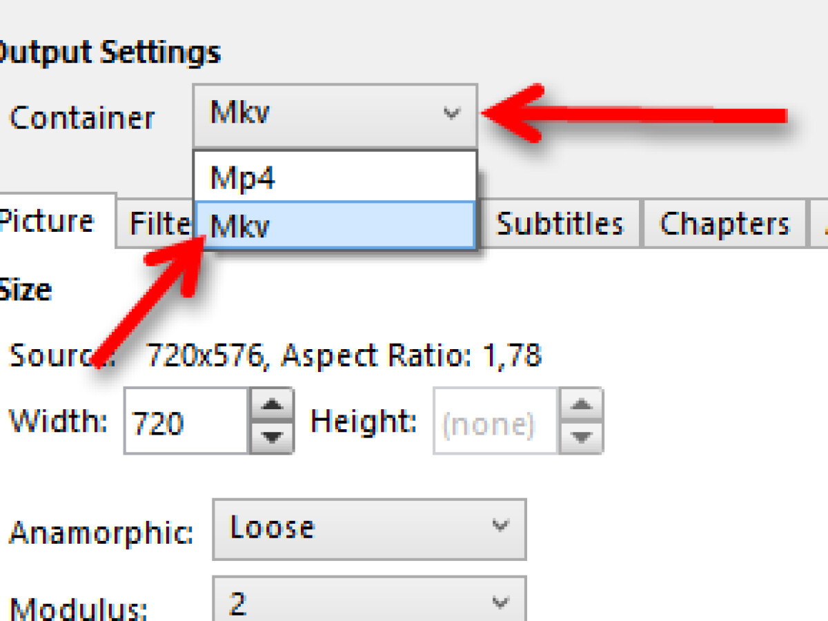 HandBrake: DVD-Sammlung archivieren | NETZWELT