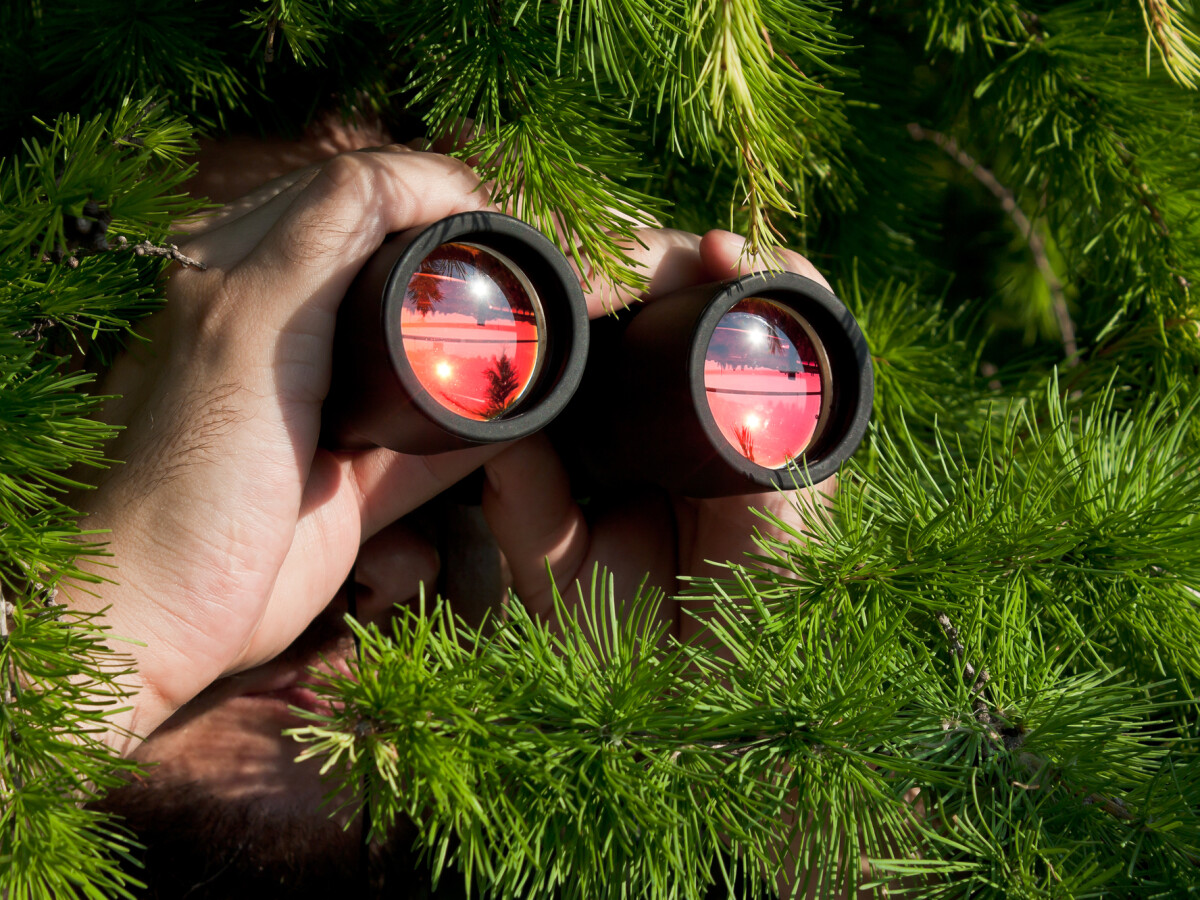 Was bedeutet "scouten"? | NETZWELT