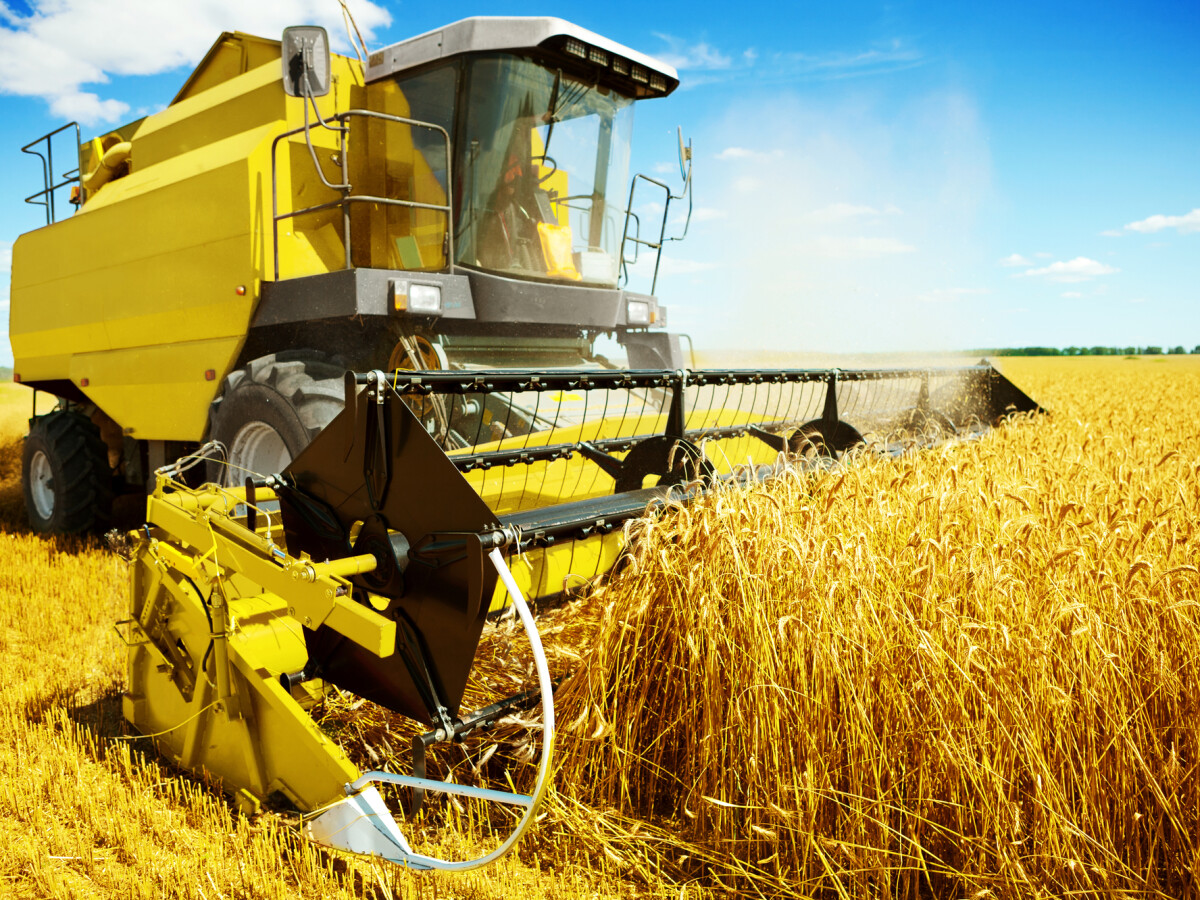 Was bedeutet "harvesten"? | NETZWELT