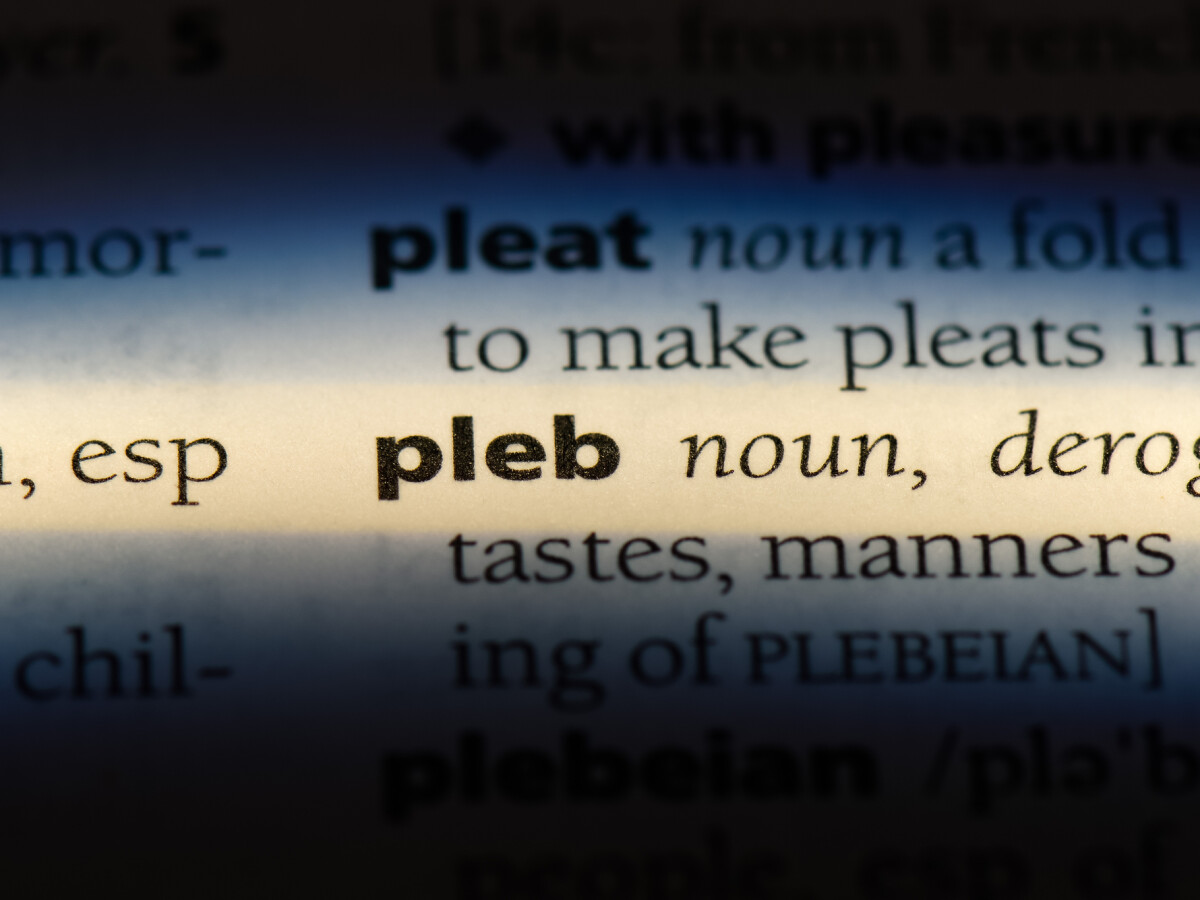 Was bedeutet "Pleb"? | NETZWELT