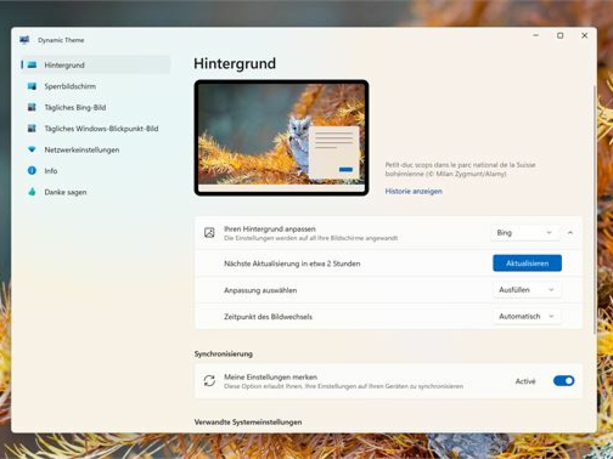 Dynamic Theme - Download | NETZWELT