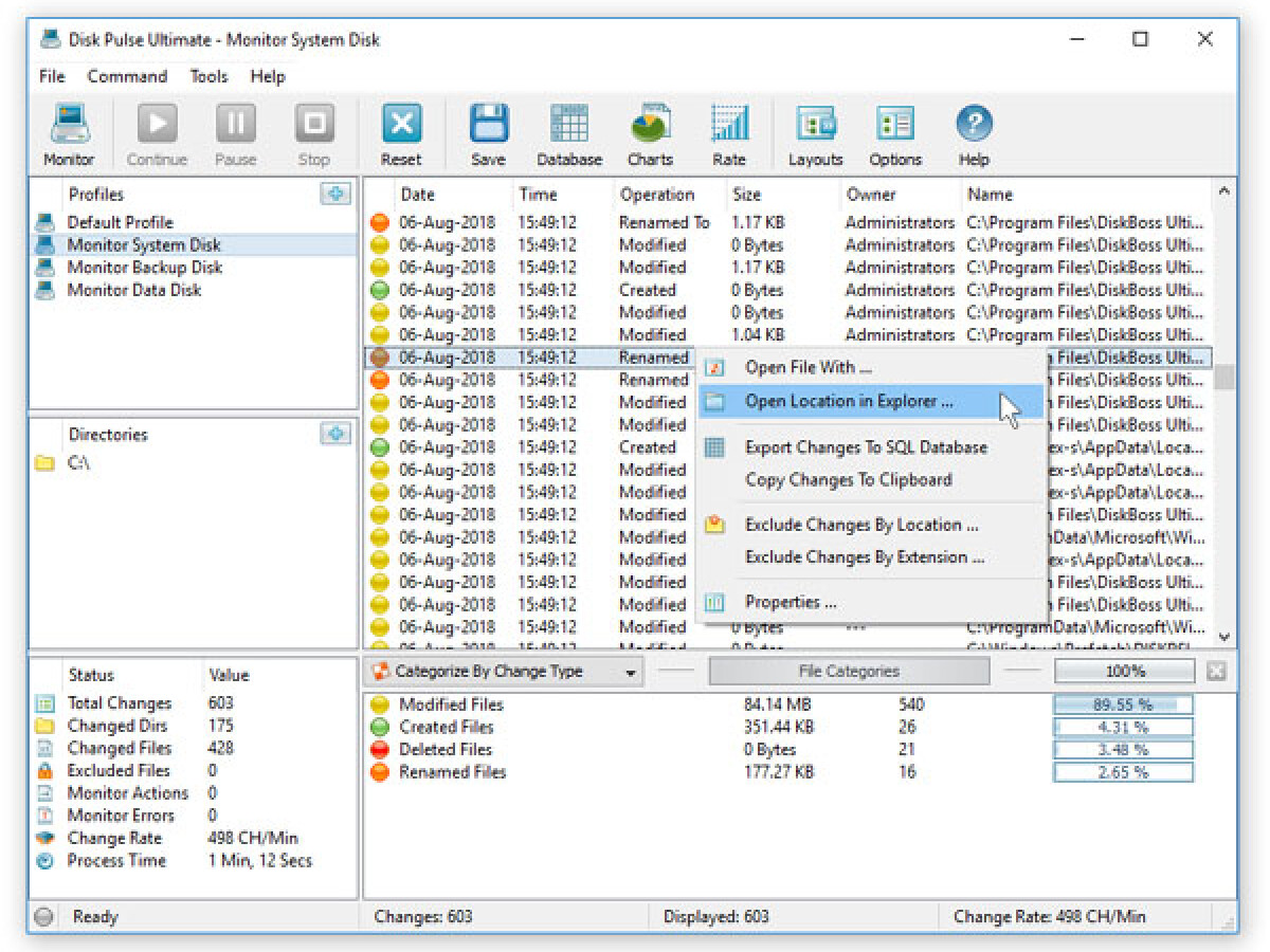 DiskPulse - Download | NETZWELT