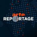 Arte-Live-Stream: Legal und kostenlos Arte online schauen | NETZWELT