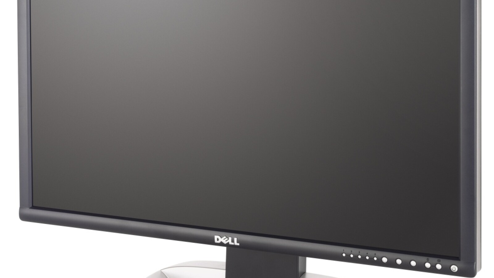 Dell 2405FPW | NETZWELT