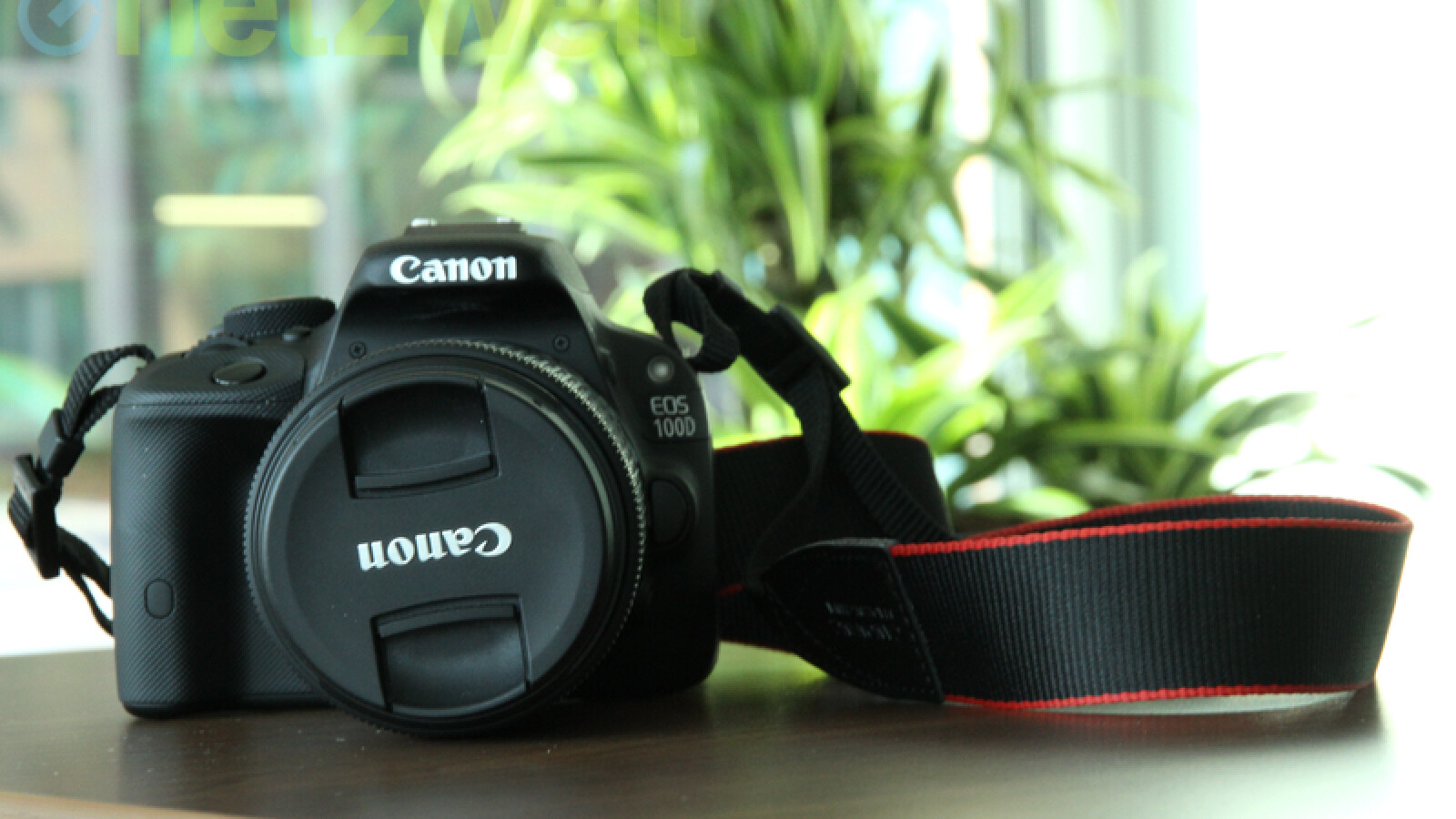 Canon EOS 100D | NETZWELT