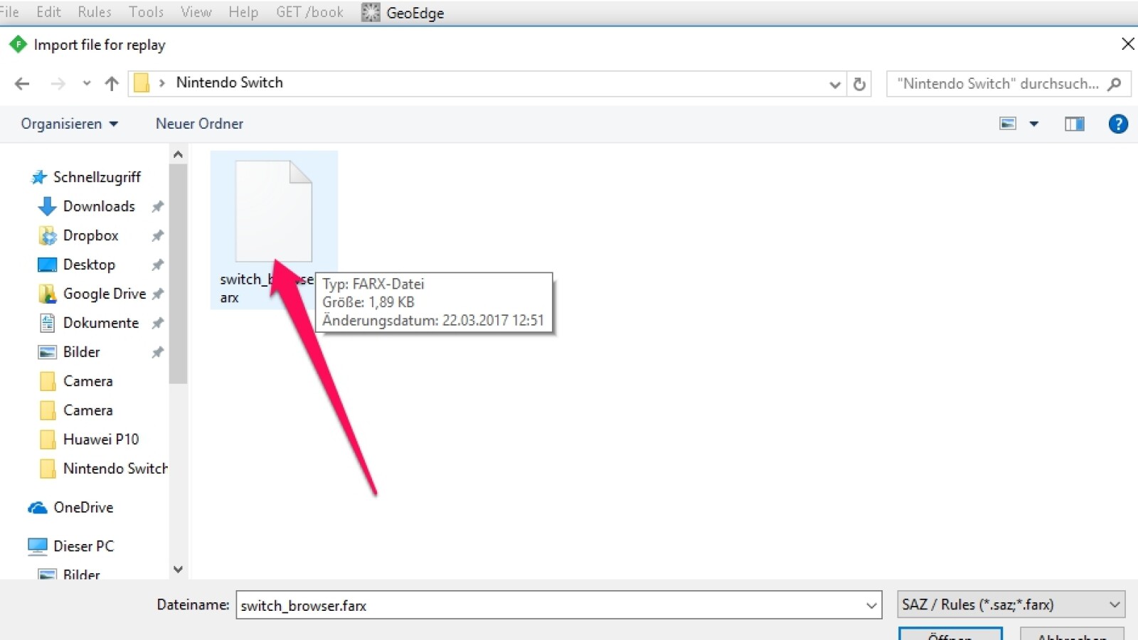 Nintendo Switch: Browser aktivieren (Einstellungen am Computer) | NETZWELT