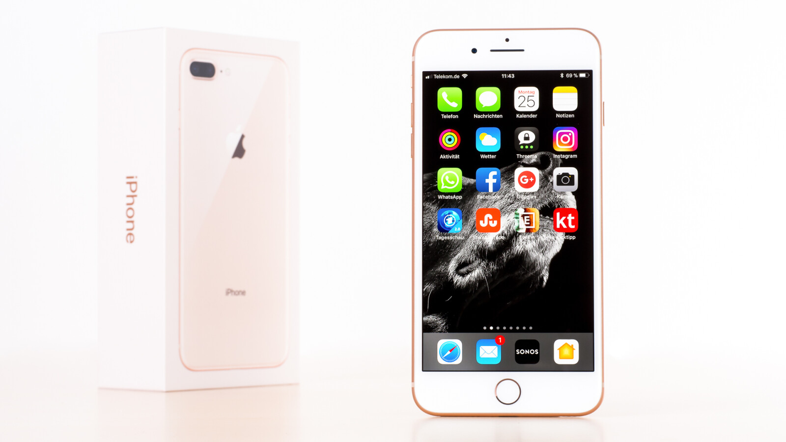iPhone 8 und iPhone 8 Plus in Bildern | NETZWELT