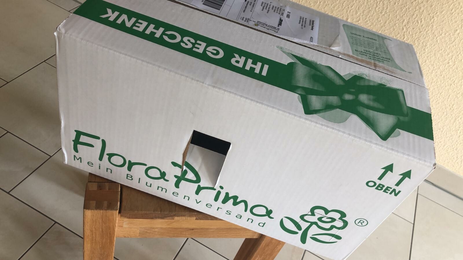 Blumen von FloraPrima im Praxistest | NETZWELT