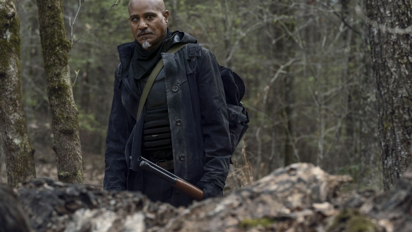 The Walking Dead Staffel 11: So sieht das große Serienfinale aus | NETZWELT