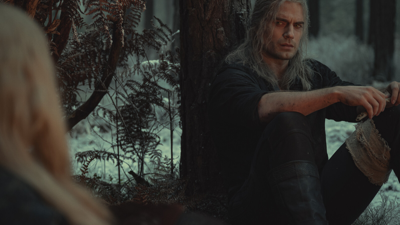 The Witcher: Neue Bilder zu Staffel 2 zeigen Blut und Kämpfe | NETZWELT