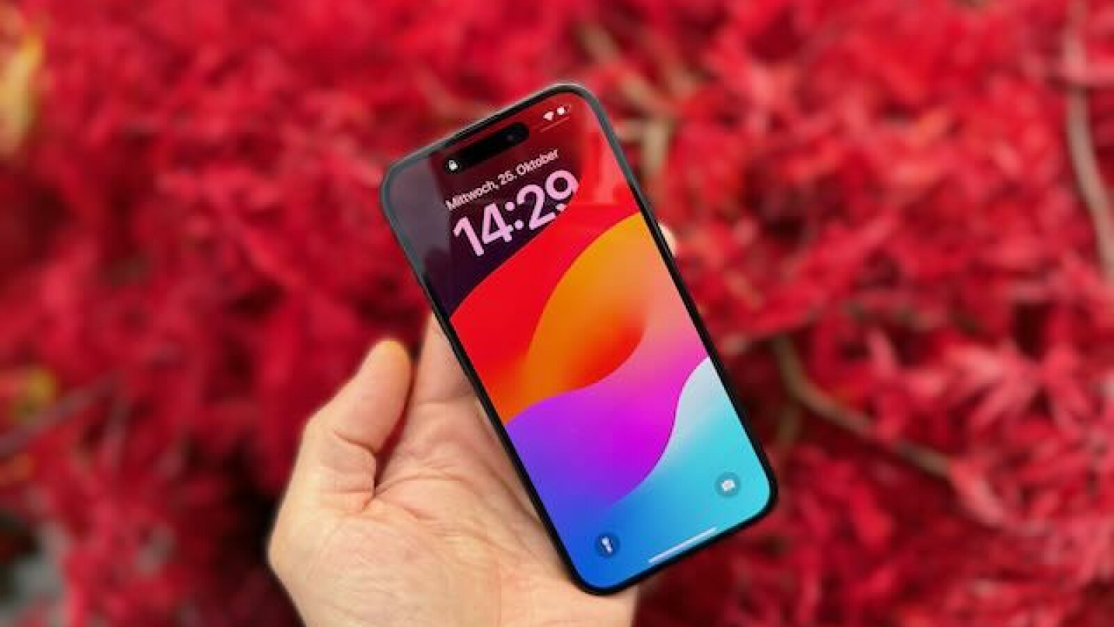 iPhone 15 Pro Max - Testfotos des Kamerasystems | NETZWELT