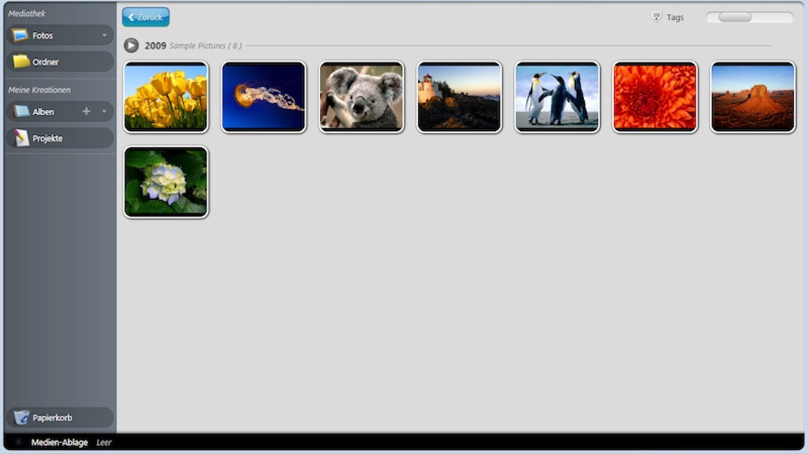 Corel Digital Studio | NETZWELT