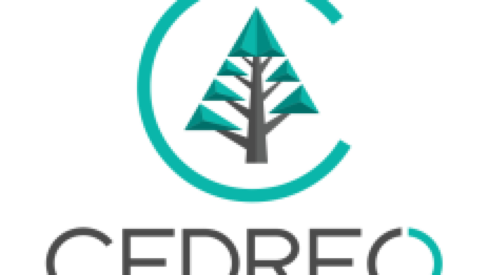 Cedreo - Download | NETZWELT