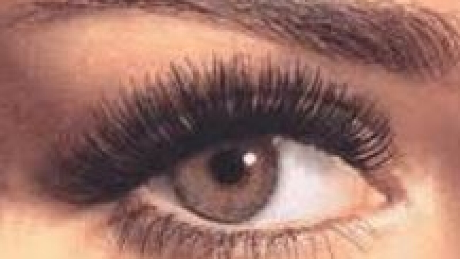 mrViewer - Download | NETZWELT