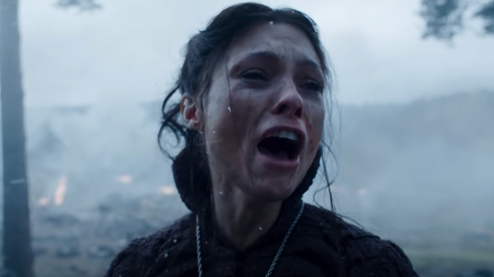 The Witcher: Epischer neuer Trailer zu Staffel 2 veröffentlicht! | NETZWELT