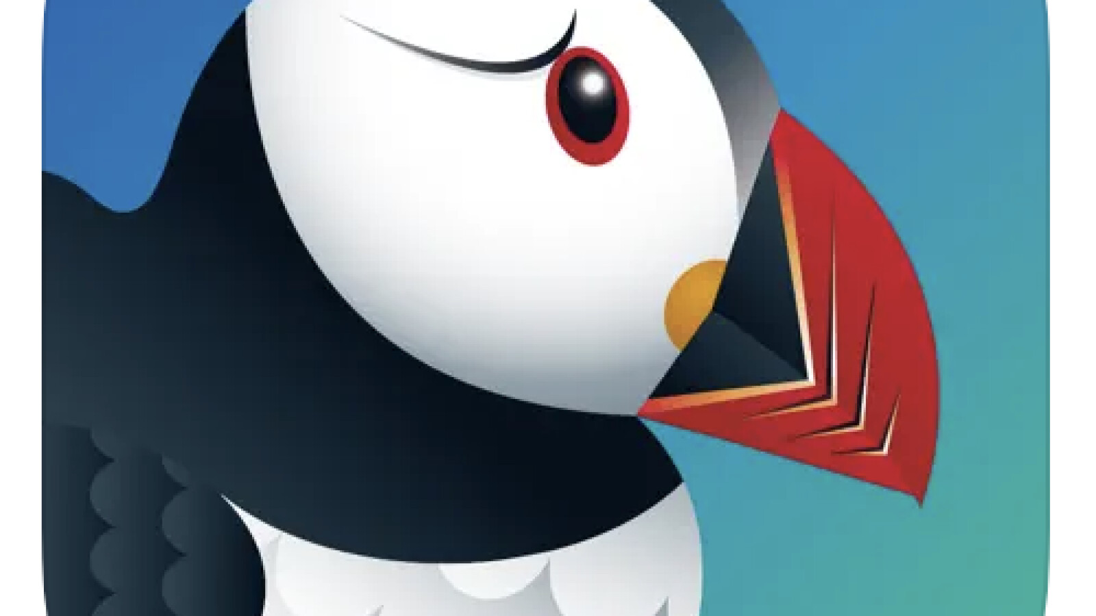 Puffin Web Browser - Download | NETZWELT