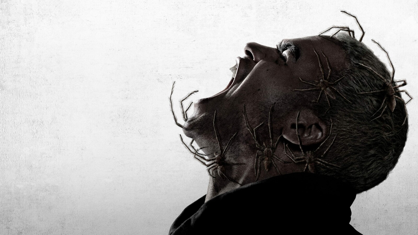 "Spiders - Ihr Biss ist der Tod" im Stream: Wann erscheint der Spinnen ...