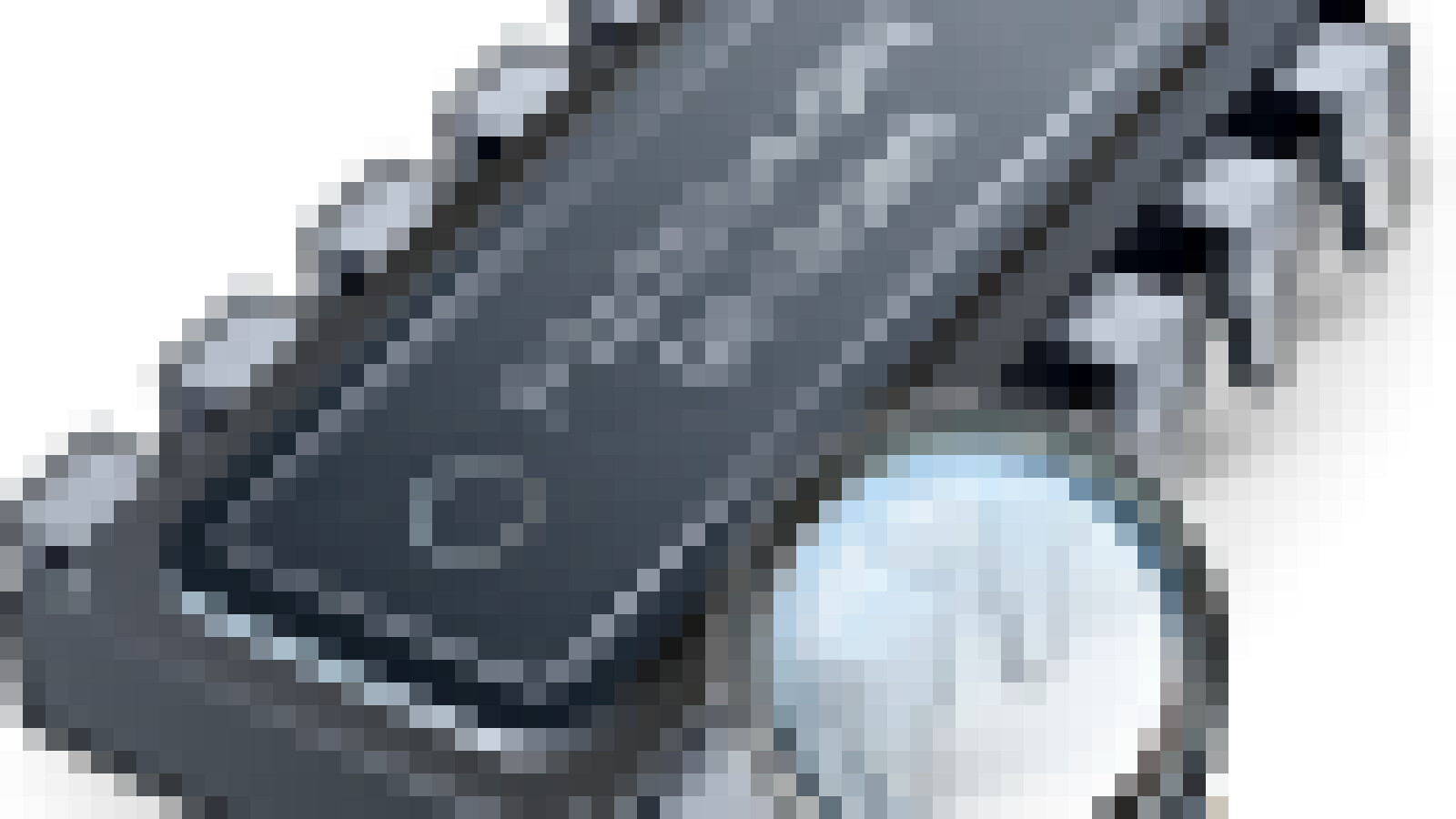 RAMMon - Download | NETZWELT