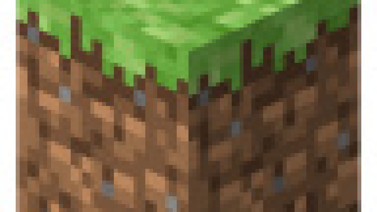 OptiFine HD - Download | NETZWELT