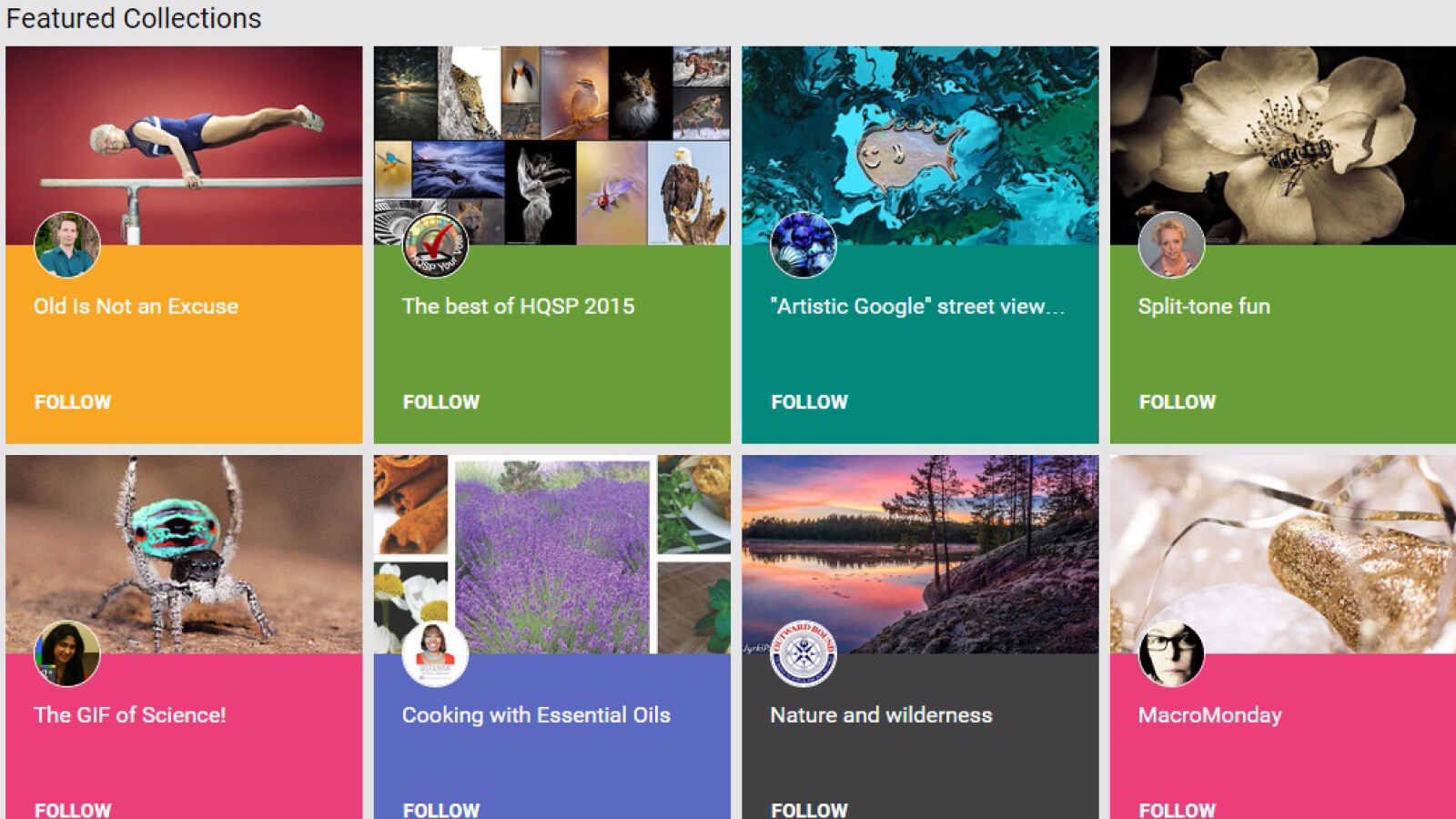 Google+ Collections | NETZWELT