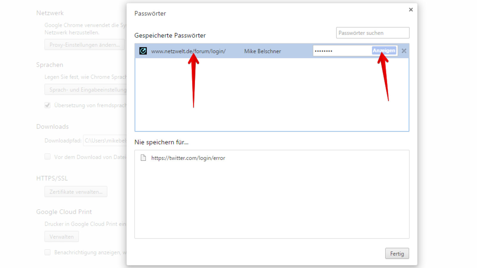 Login-Daten in Google Chrome anzeigen oder löschen | NETZWELT
