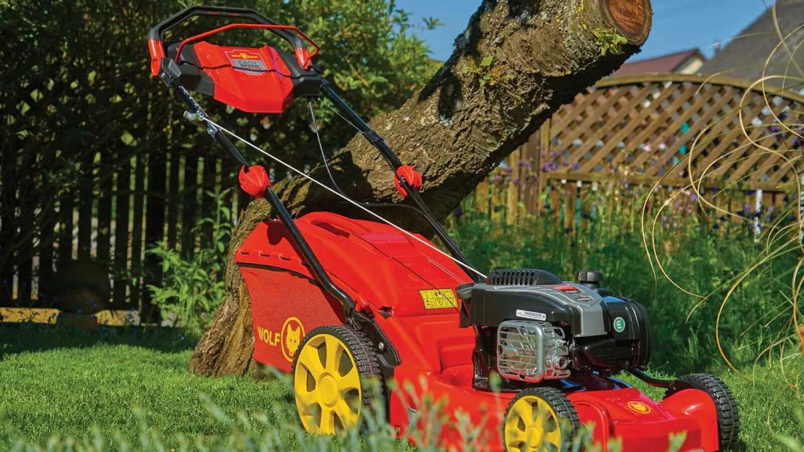 Der Rasen wächst und gedeiht: Jetzt günstigen Benzin-Rasenmäher für ...