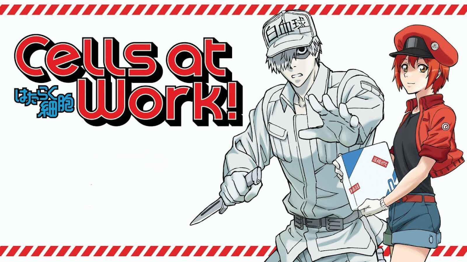 Cells at Work! | Staffel und Episodenguide | Edutainment-Anime bei ...