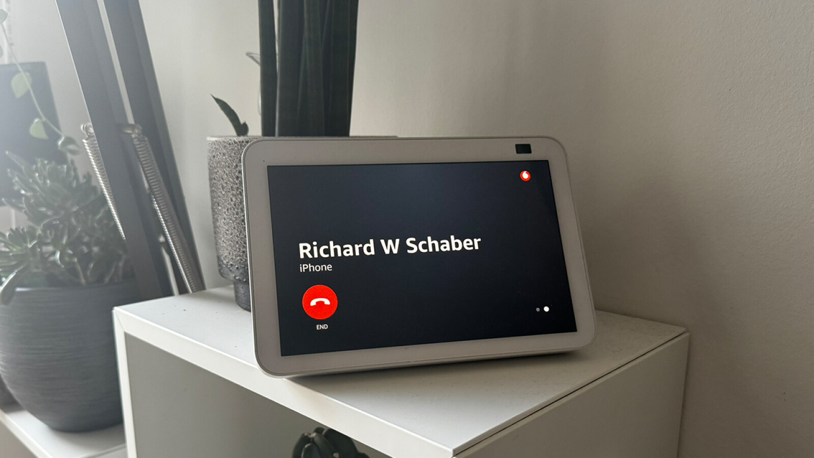 Echo Show: Anrufe übersetzen lassen - so geht's | NETZWELT